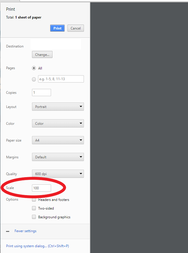 Why is my Chrome printing small? – New Zealand Computing Solutions